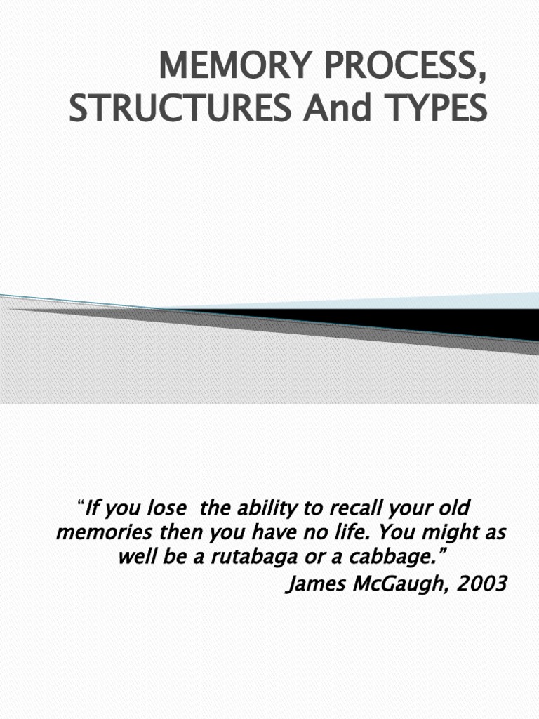 Memory Process, Structures and Types | PDF | Memory | Recall (Memory)