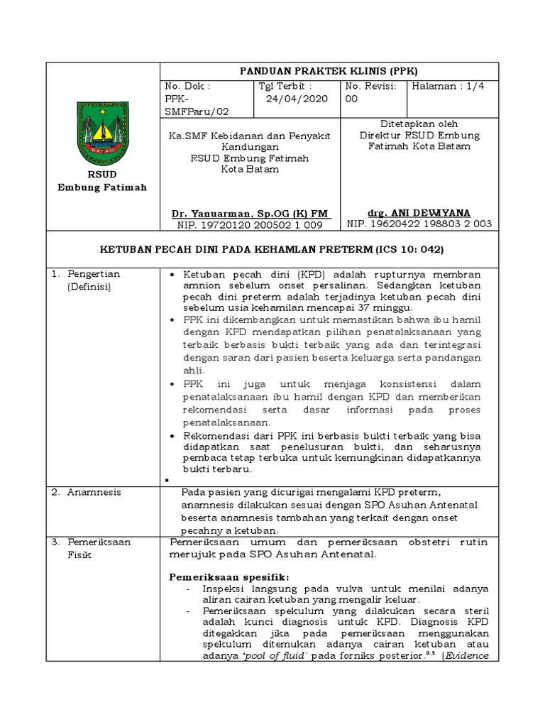 PPK Pprom Revisi | PDF