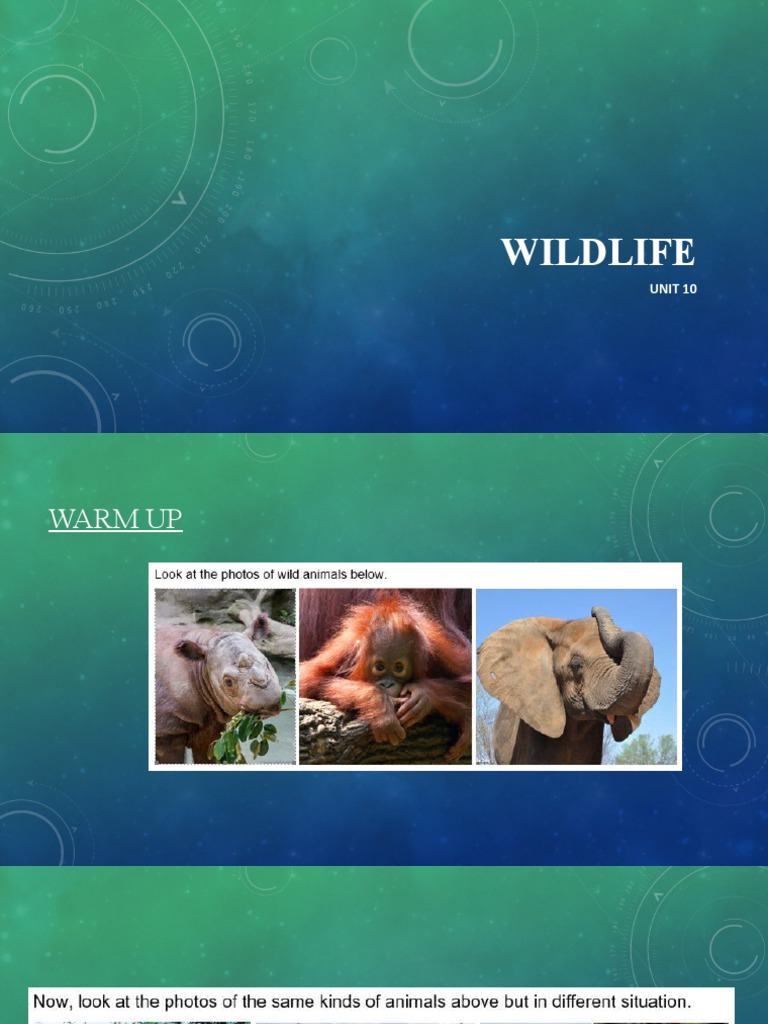Wildlife | PDF