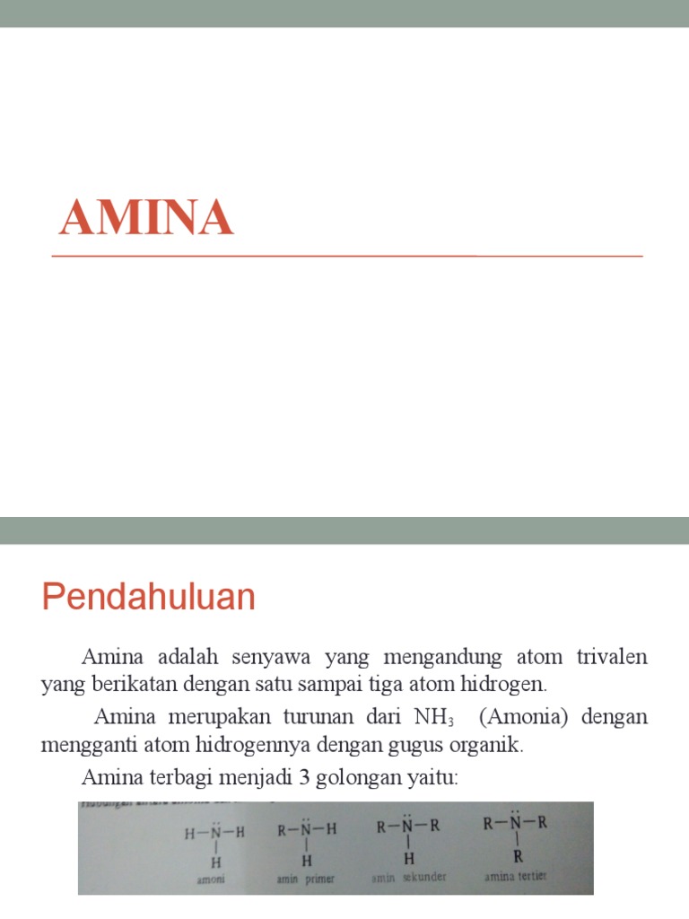 AMINA | PDF