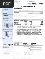 Sample PSEG Bill | PDF
