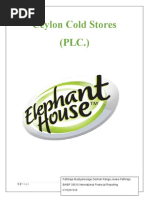 Elephant House Business Strategy Analysis | PDF | Business | Business ...