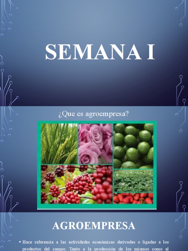 Introducción a las Agroempresas | PDF | Sociedad de responsabilidad ...
