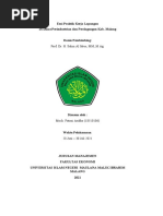 Format Lampiran Laporan Magang D1-1 | PDF