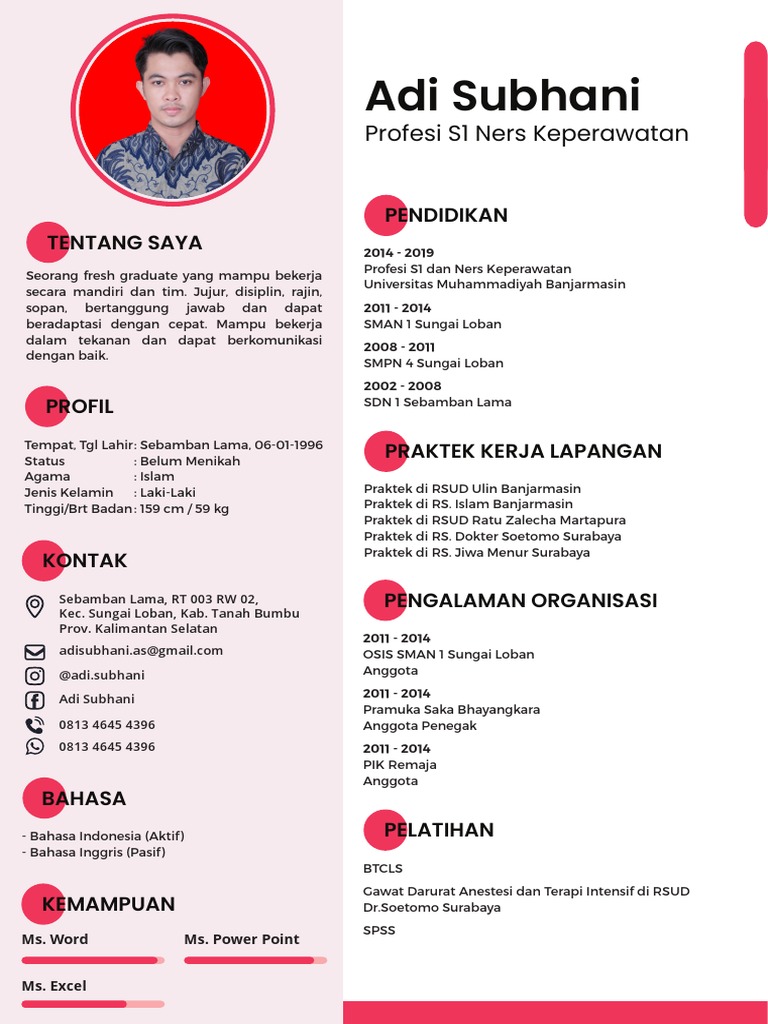 CV Adi Subhani | PDF