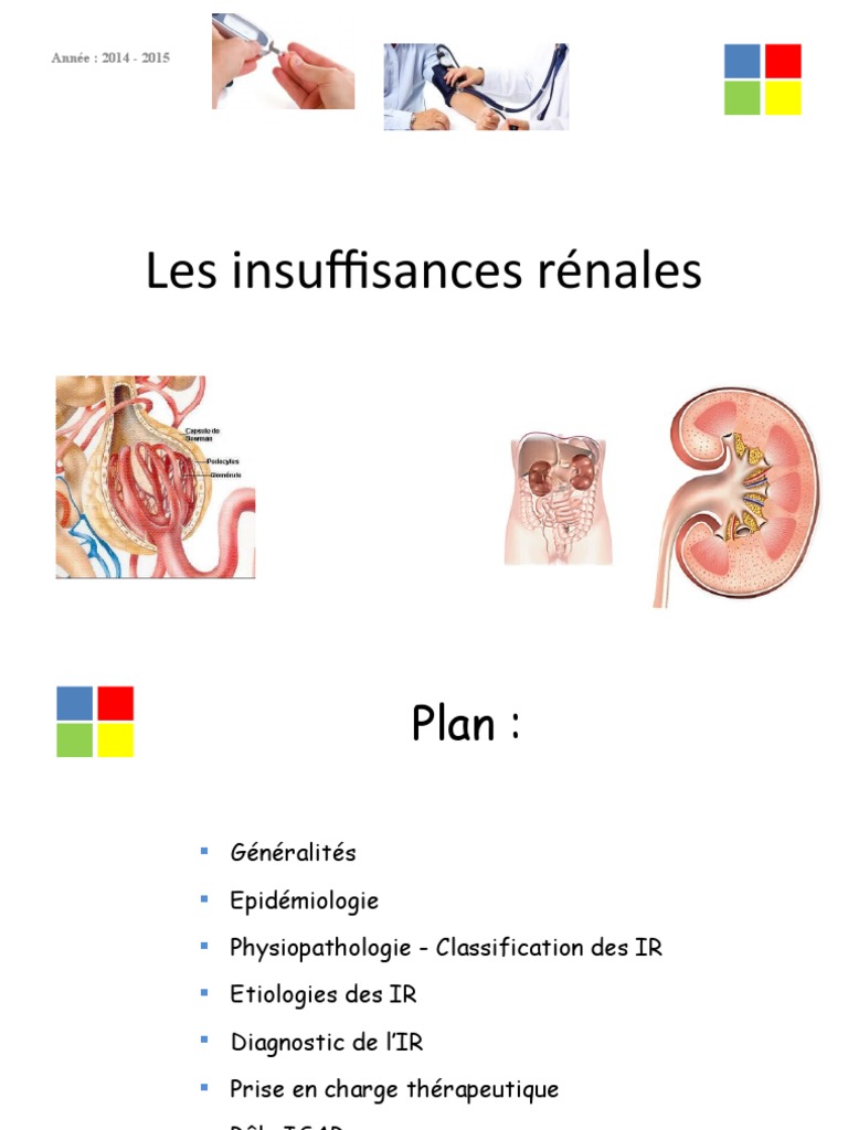 Insuffisance rénale : diagnostic et traitement | PDF | Insuffisance ...