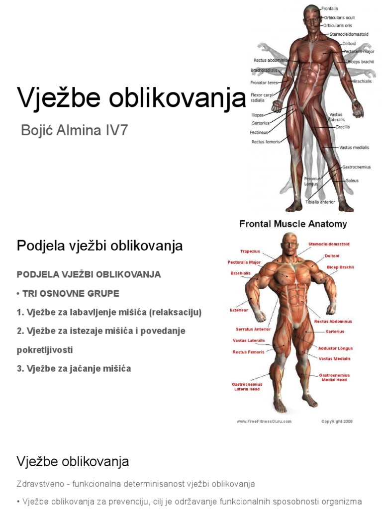 Vježbe Oblikovanja (Uvod) | PDF