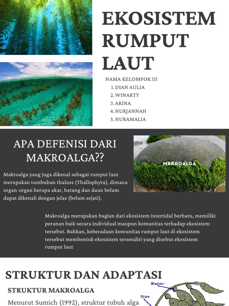 Ekosistem Rumput Laut | PDF