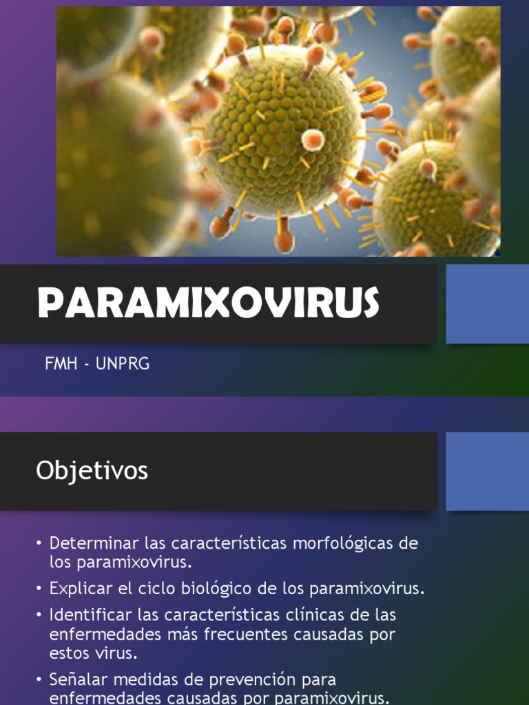 PARAMIXOVIRUS | PDF | Sarampión | Virus