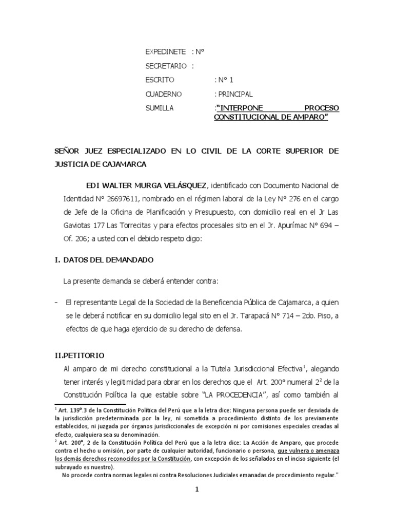 Modelo de Demanda de Accion de Amparo | PDF | Caso de ley | Ley procesal