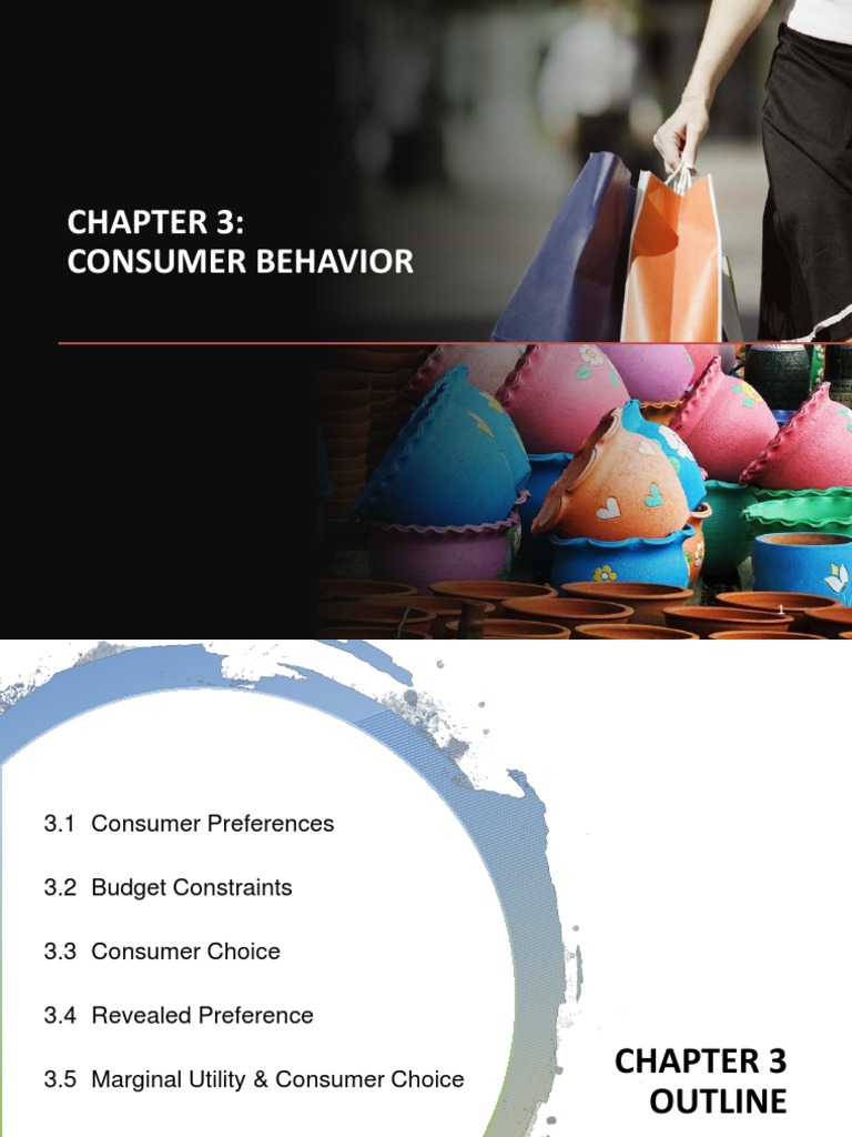 Ch03 Consumer Behavior | PDF | Utility | Economic Theories