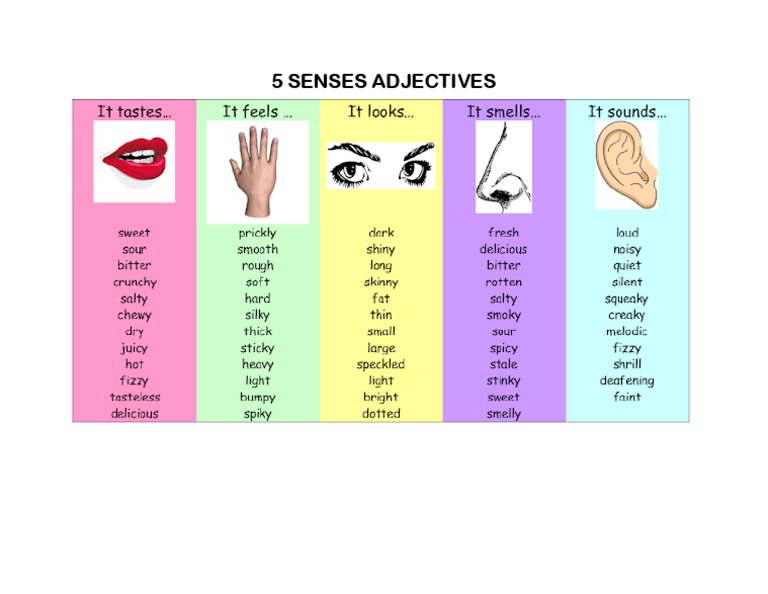 5 Senses Adjectives | PDF