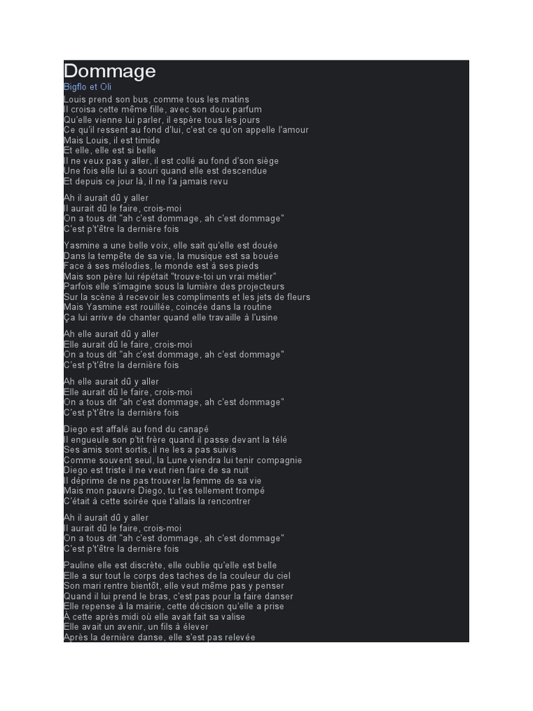 Paroles de "Dommage" - Bigflo et Oli | PDF
