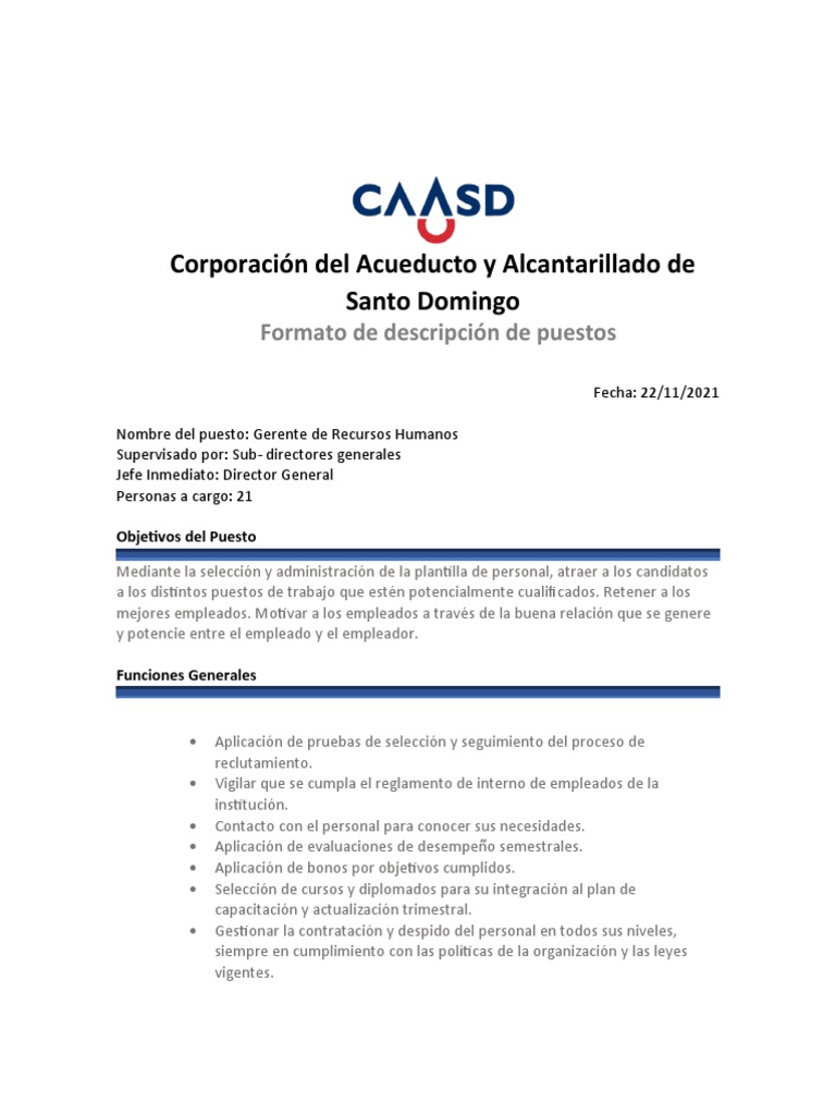 Formato Descripción de Puesto | PDF | Gestión de recursos humanos | Economias