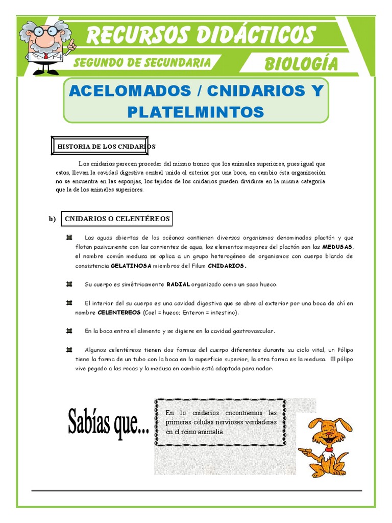 Acelomados Cnidarios y Platelmintos para Segundo de Secundaria | PDF ...