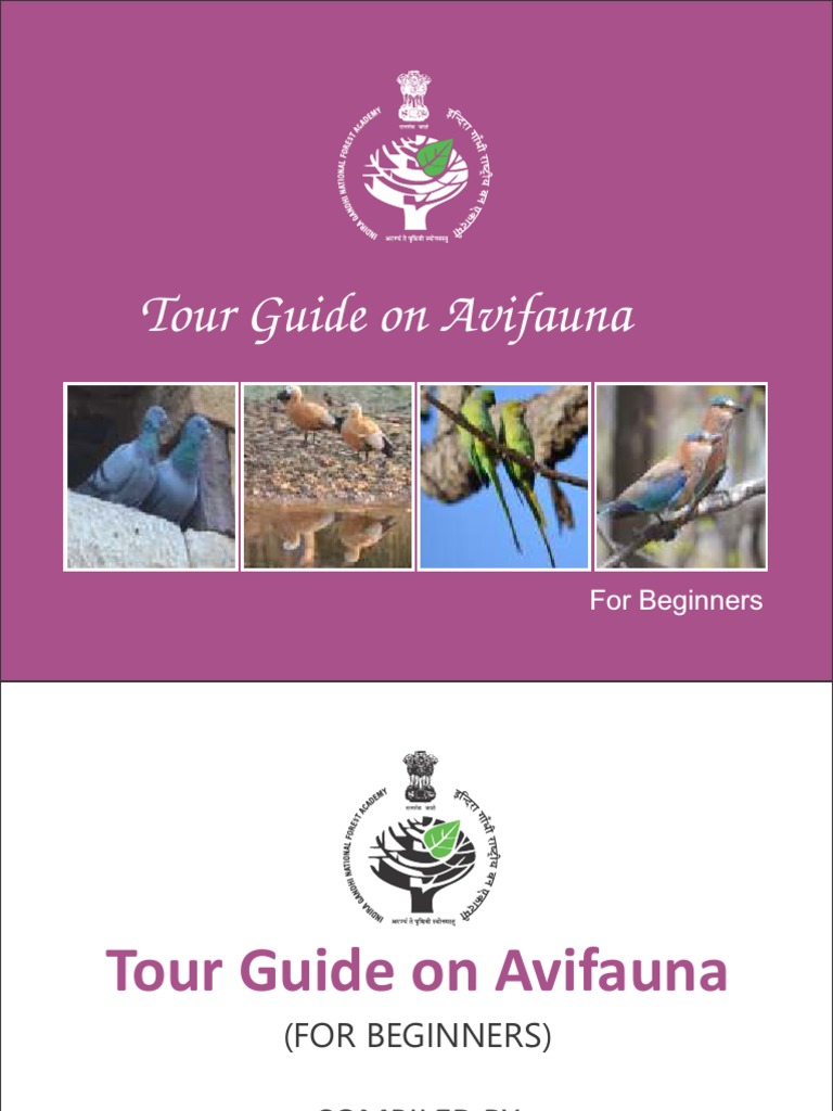 Img 4251423 Bird Book | PDF | Beak | Color