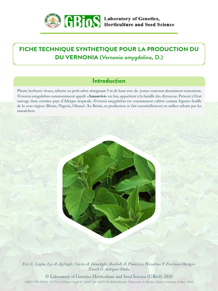 FICHE TECHNIQUE SYNTHETIQUE POUR LA PRODUCTION DU DU VERNONIA (Vernonia ...