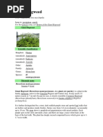 The Ultimate Fruit Flavor Pairing Chart | PDF | Fruit | Clove