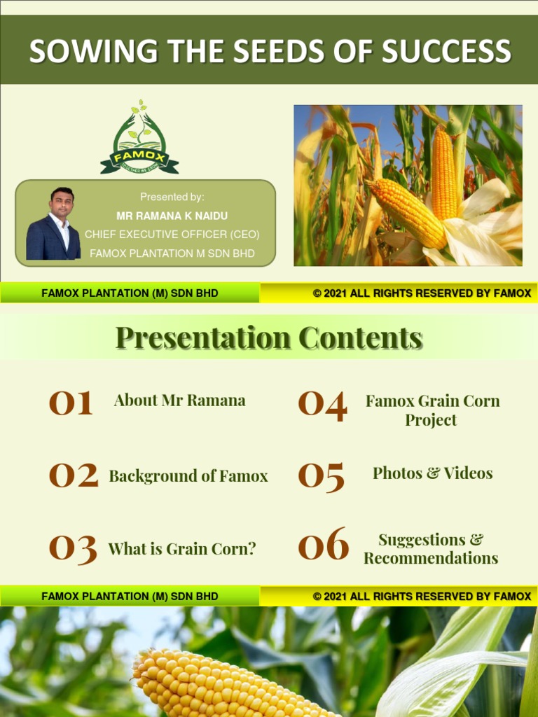 Sowing The Seeds of Success: Presented by | PDF | Farms | Maize