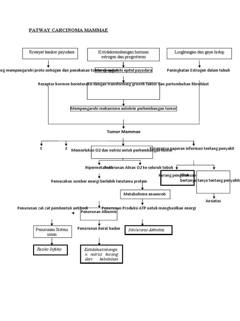 Pathway Tumor Mamae | PDF