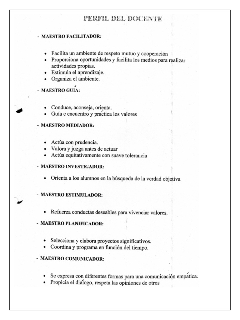 Perfil Del Docente | PDF