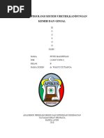 Pemahaman Tractus Urinaria dan Fisiologinya | PDF