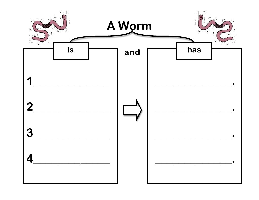 Worm Characteristics and Observations | PDF