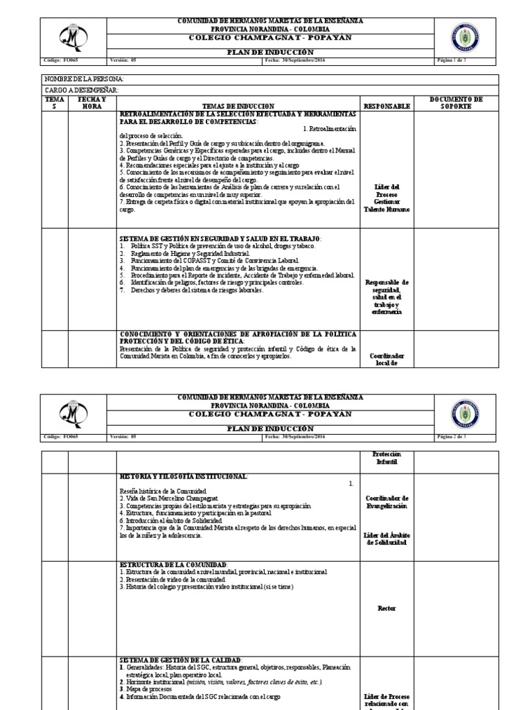 Ejemplo de Como Hacer Un Plan de Ejecución | PDF