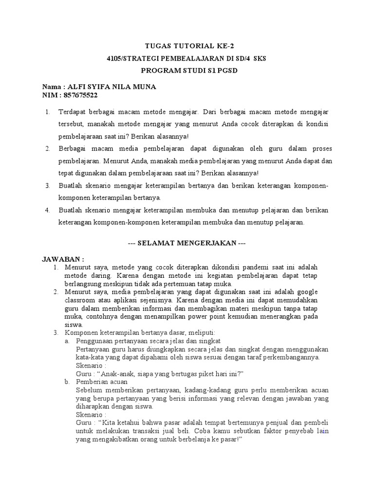 Tt2 - Strategi Pembelajaran Di SD - Alfi Syifa Nipa Muna | PDF