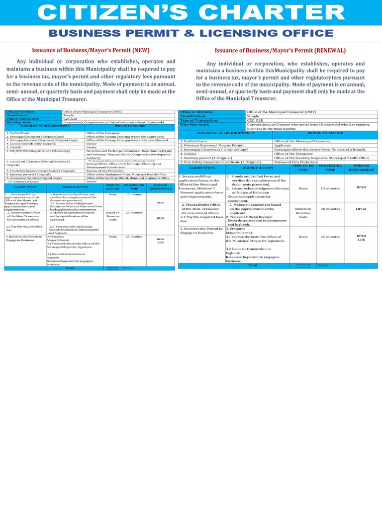 Business Permit Guidelines & Charter | PDF