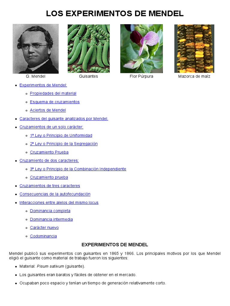 12-Los Experimentos de Mendel | PDF | Dominancia (Genética) | Biología