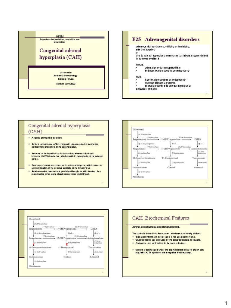 Congenital Adrenal Hyperplasia (CAH) : E25 Adrenogenital Disorders ...