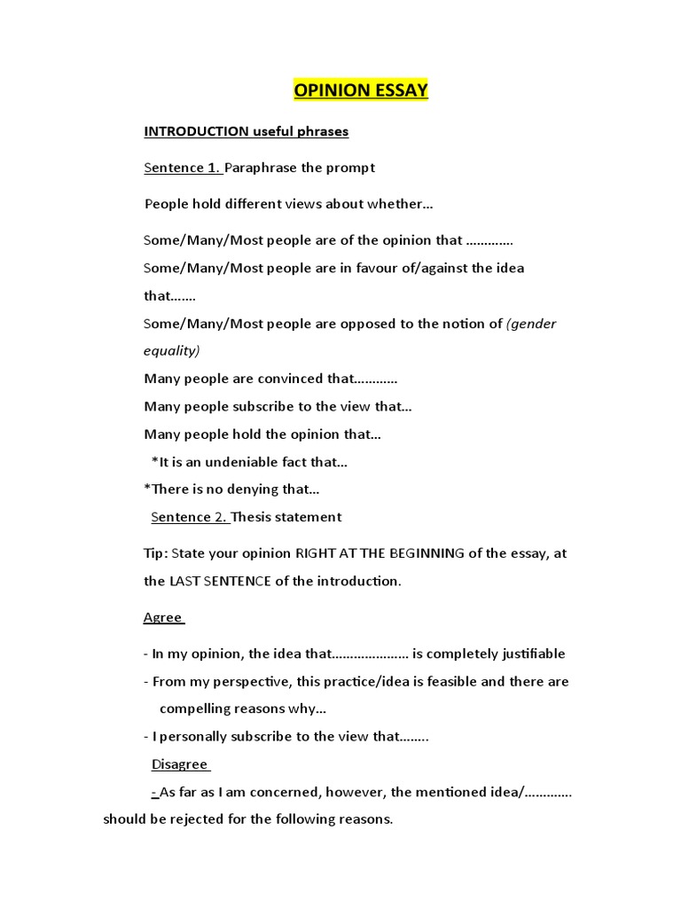 Opinion Essay: INTRODUCTION Useful Phrases | PDF | Argument | Reason