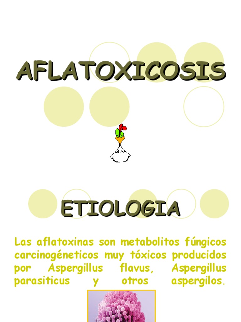 AFLATOXICOSIS | PDF | Alimentos | Huevo como alimento