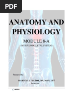 Natural & Man-Made Frame/shell Structures | PDF | Skeleton