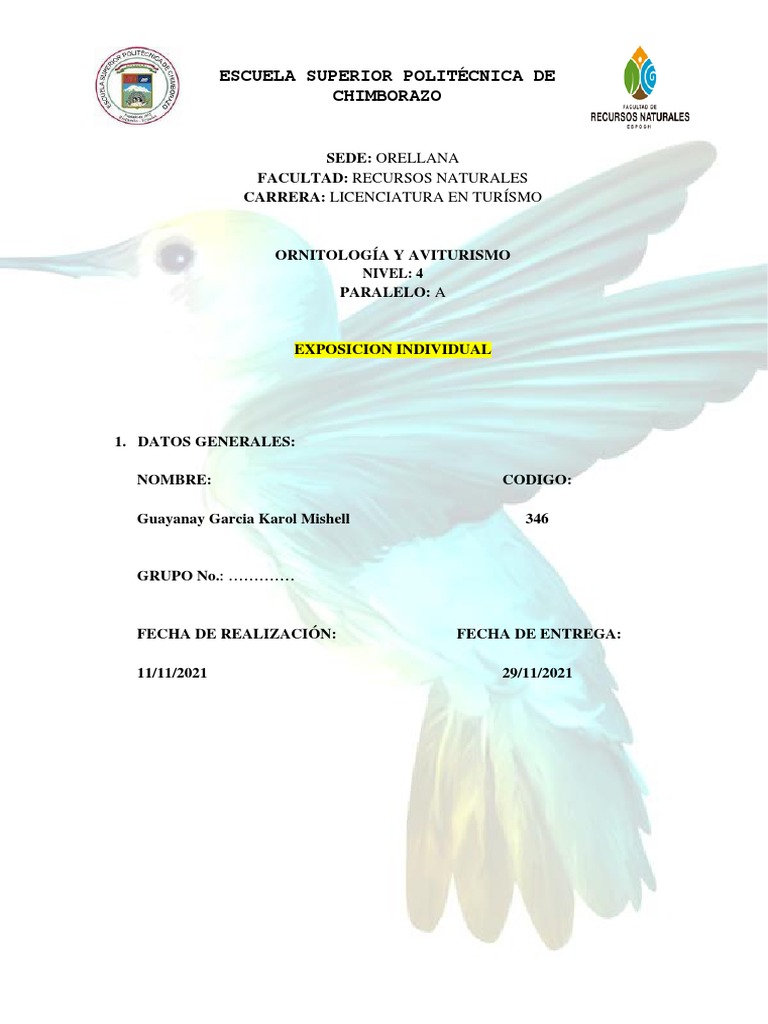 Karol Guayanay Informe Orden Charadriformes | PDF | Aves | Ornitología