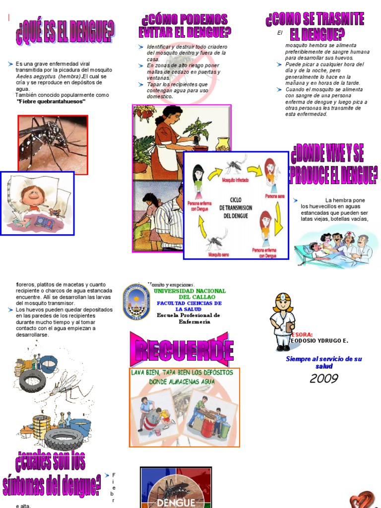 Triptico Dengue | PDF | Enfermedades y trastornos | Ciencias de la Salud