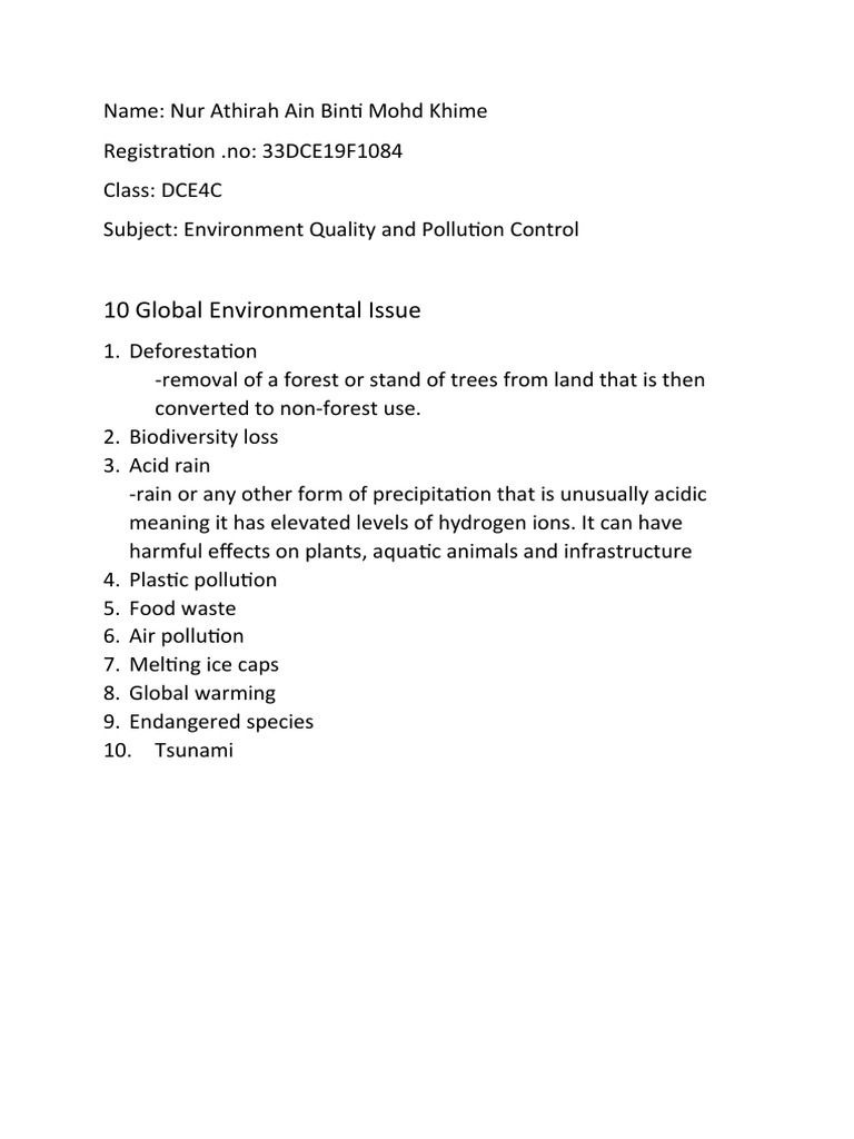 Task Environmental Issue | PDF