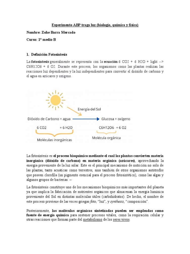 Fotosíntesis y Experimento de Luz en Plantas | PDF | Fotosíntesis | Plantas