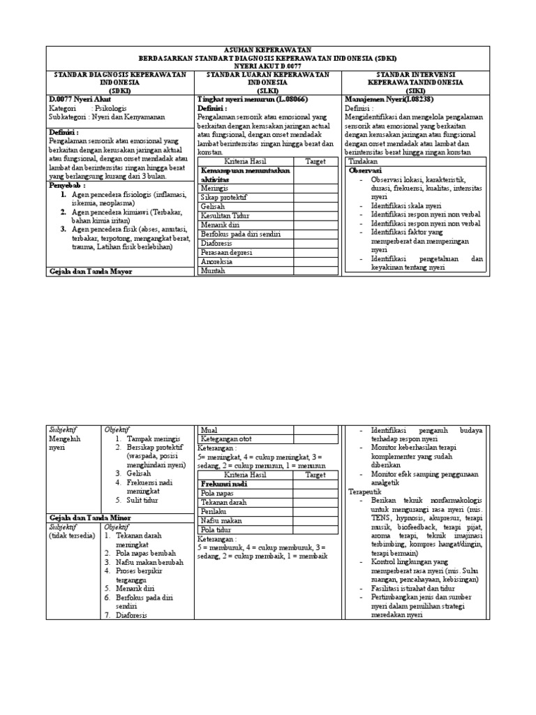 SAK Nyeri Akut | PDF