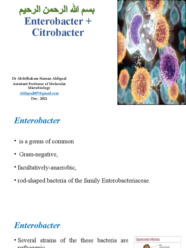 Dr. Abdelhakam Aldigeal Enterobacter Citrobacter | PDF | Infection ...
