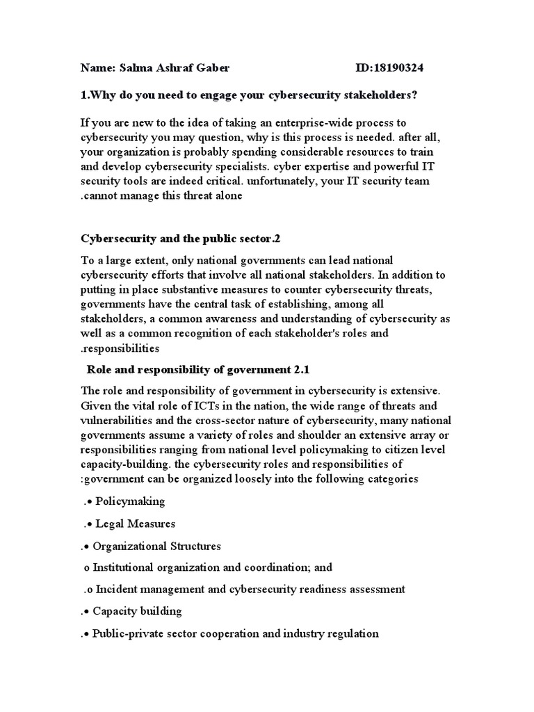 National Cybersecurity Strategy | PDF | Security | Computer Security