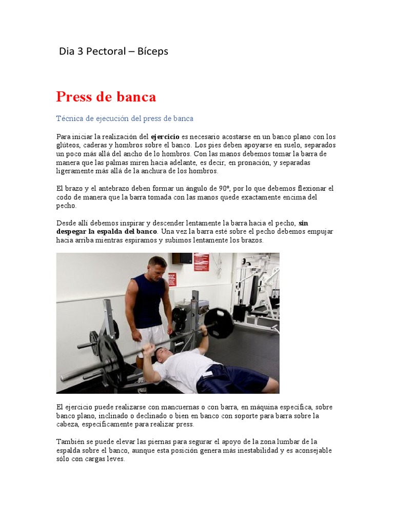 Dia 3 Pectoral - Biceps | PDF | Codo | Hombro