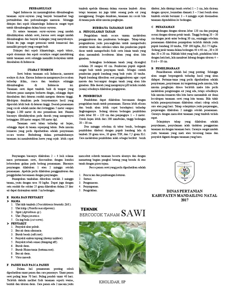 Folder Budidaya Sawi | PDF