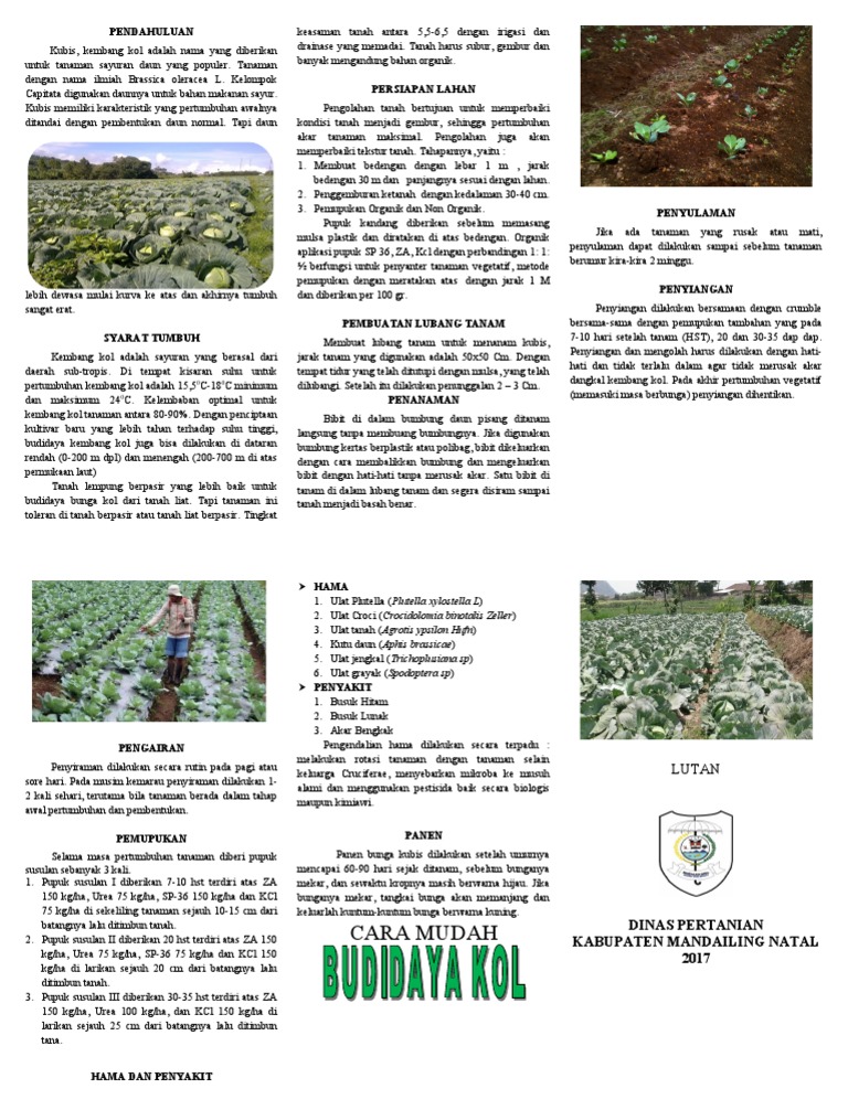 Folder Budidaya Kol | PDF