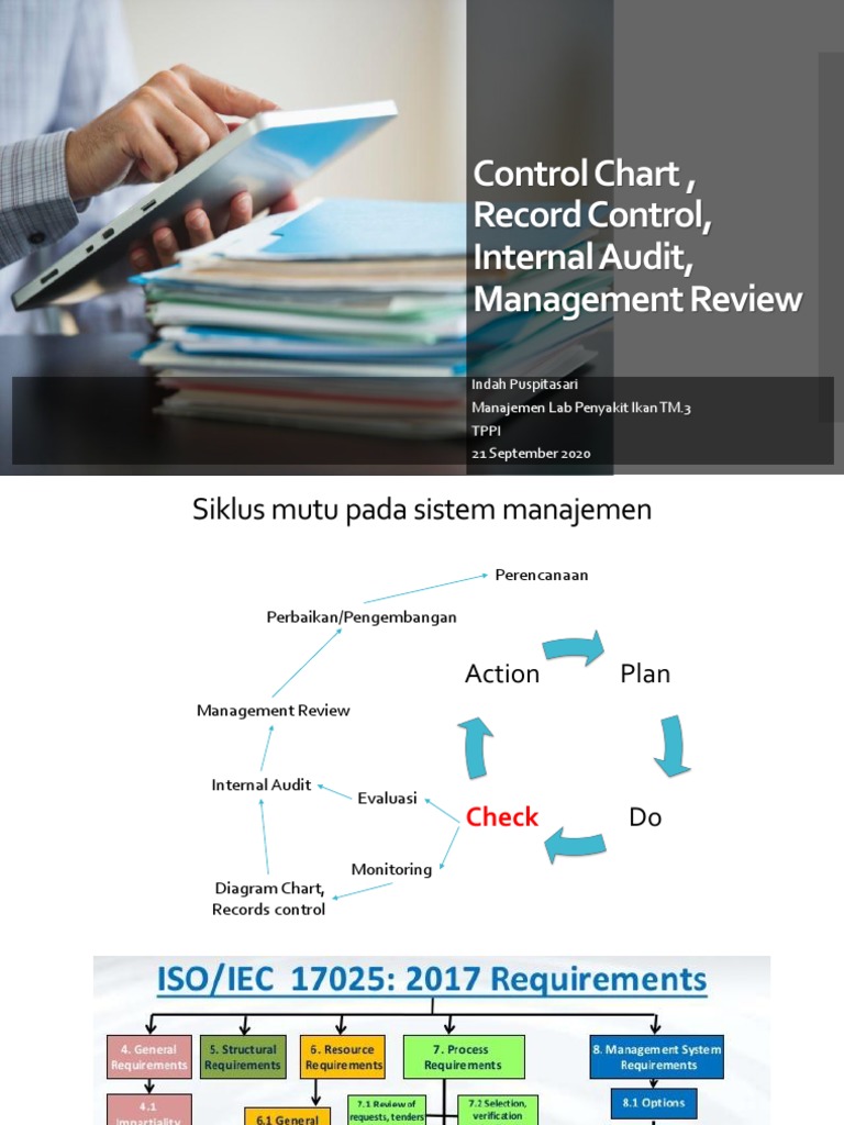 TM3. Control Chart, Record Control, Internal Audit, Management Review | PDF