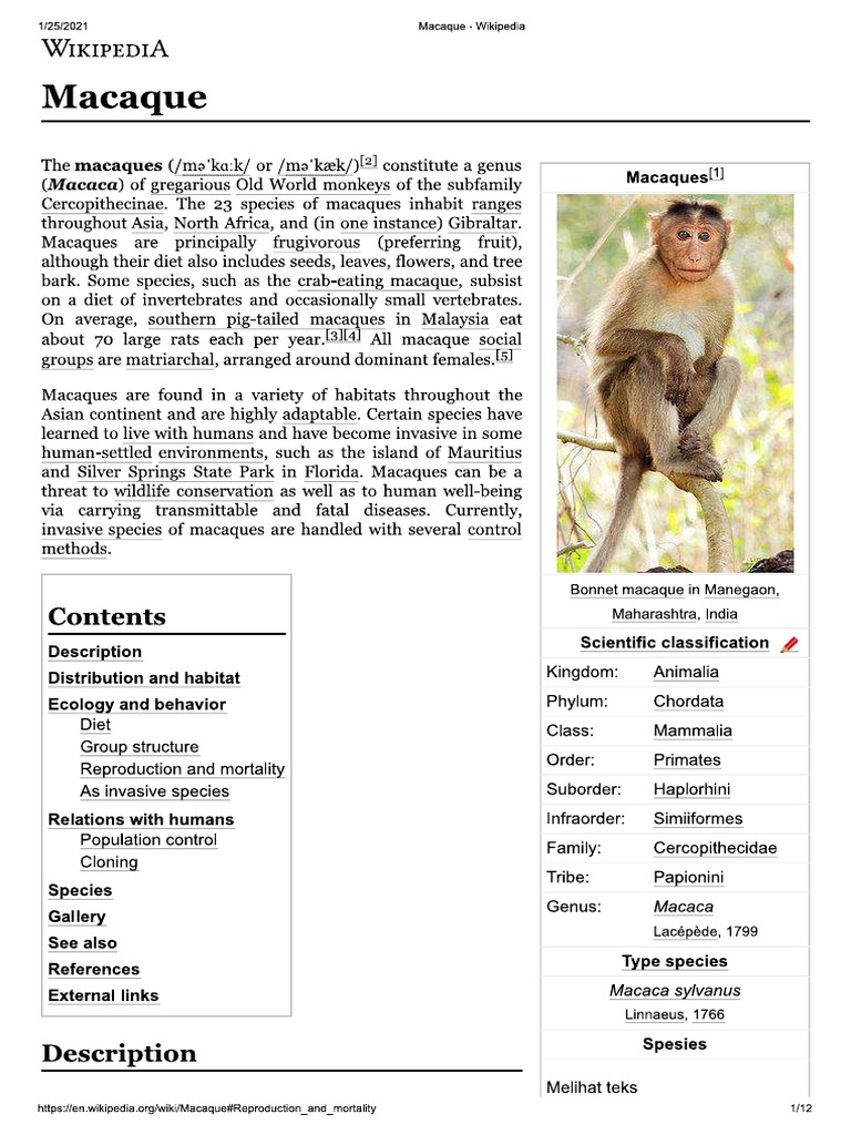 Macaque - Wikipedia (Ind) | PDF