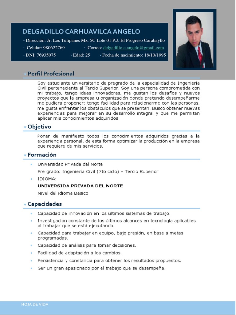 Hoja de Vida de Angelo Carhuavilca | PDF | Ingeniería | Ingeniero civil