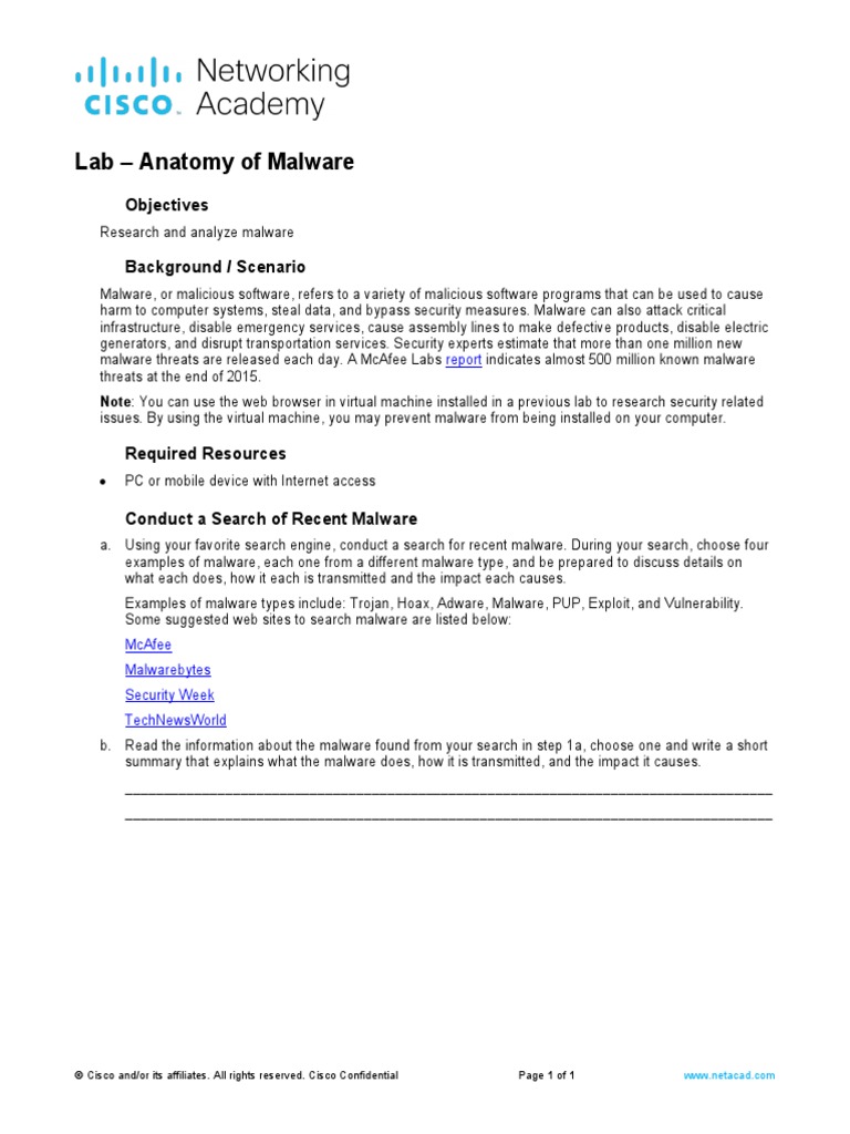 6.2.1.11 Lab - Anatomy of Malware | PDF
