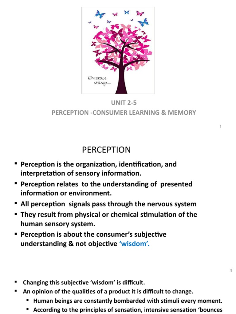 Understanding Consumer Perception Learning Memory And Information
